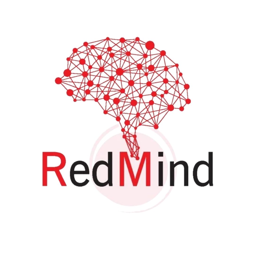 redmindtechnologies.ai